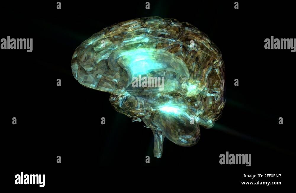 human brain animation Stock Video Footage - Alamy
