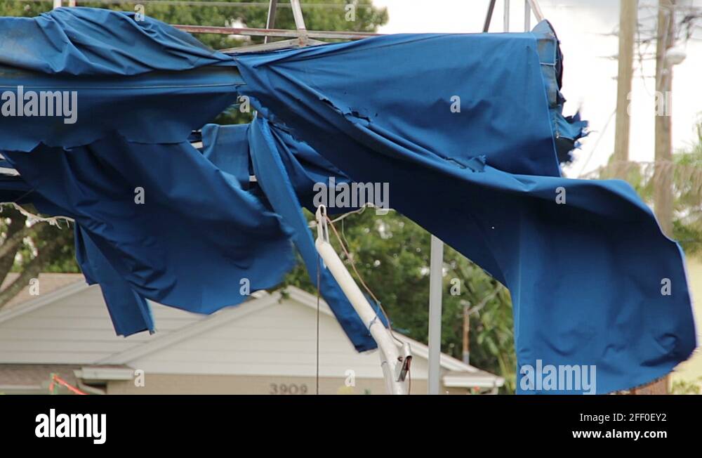 Canopy collapse Stock Videos & Footage - HD and 4K Video Clips - Alamy