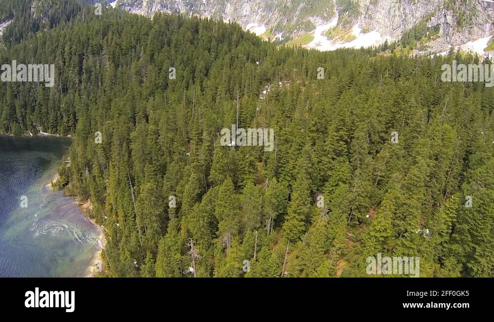 Forestation Stock Videos & Footage - HD and 4K Video Clips - Alamy