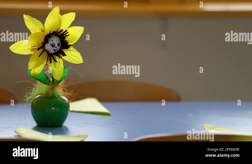 Sunflower school Stock Videos & Footage - HD and 4K Video Clips - Alamy