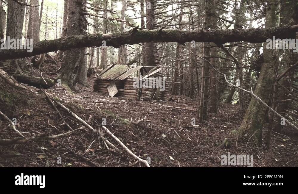 Log cabin ruins Stock Videos & Footage - HD and 4K Video Clips - Alamy