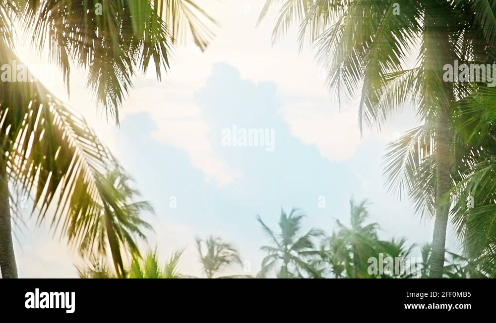 Blinding light Stock Videos & Footage - HD and 4K Video Clips - Alamy