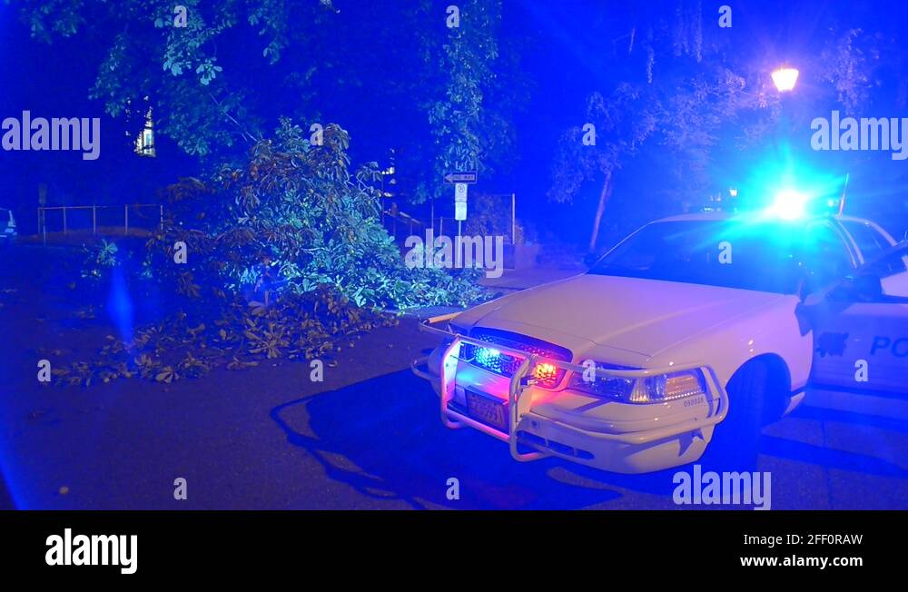 Tree in roadway Stock Videos & Footage - HD and 4K Video Clips - Alamy