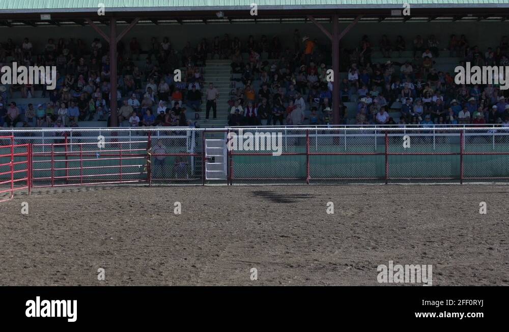 Kids in rodeo Stock Videos & Footage - HD and 4K Video Clips - Alamy