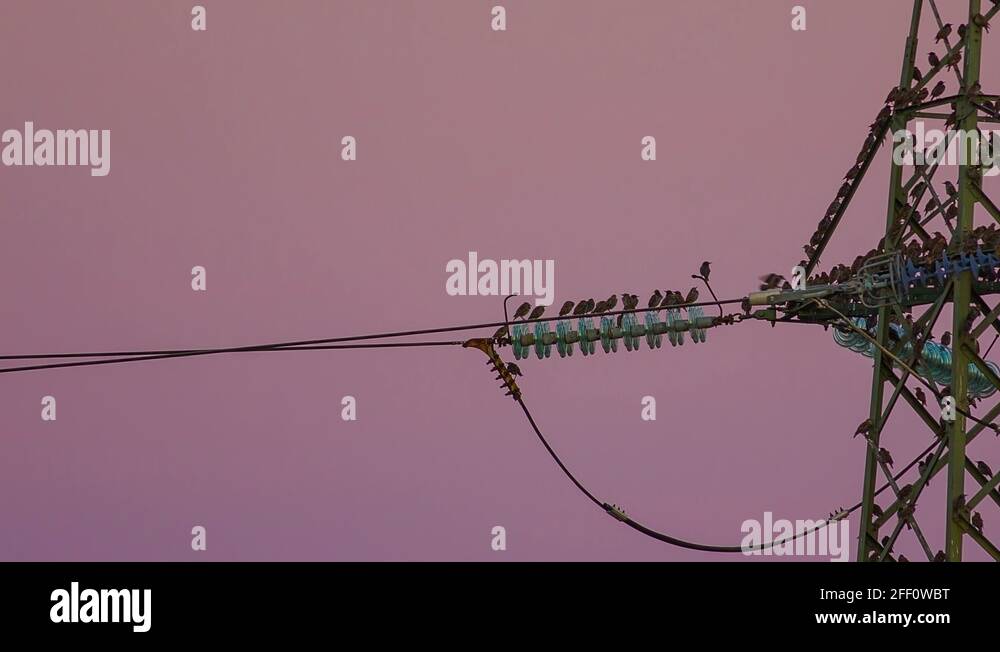 Tower wire Stock Videos & Footage - HD and 4K Video Clips - Alamy