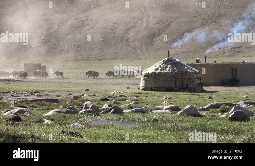 Livestock yurt Stock Videos & Footage - HD and 4K Video Clips - Alamy