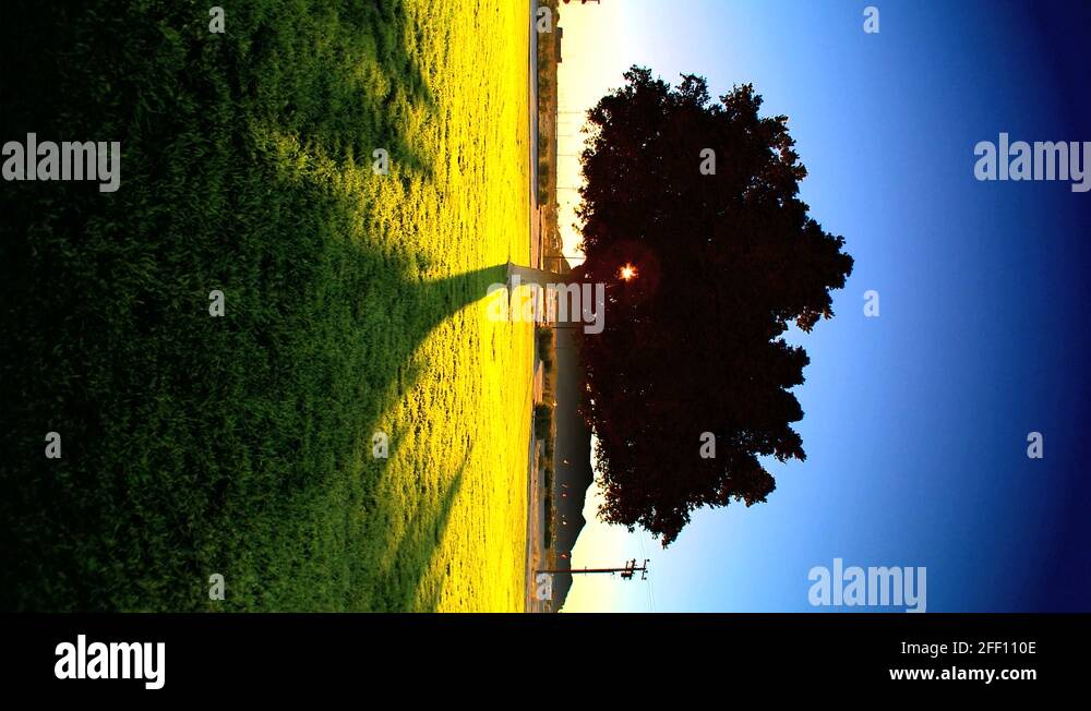 Vertical shapes Stock Videos & Footage - HD and 4K Video Clips - Alamy