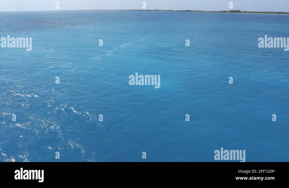 Rangiroa scuba diving Stock Videos & Footage - HD and 4K Video Clips ...