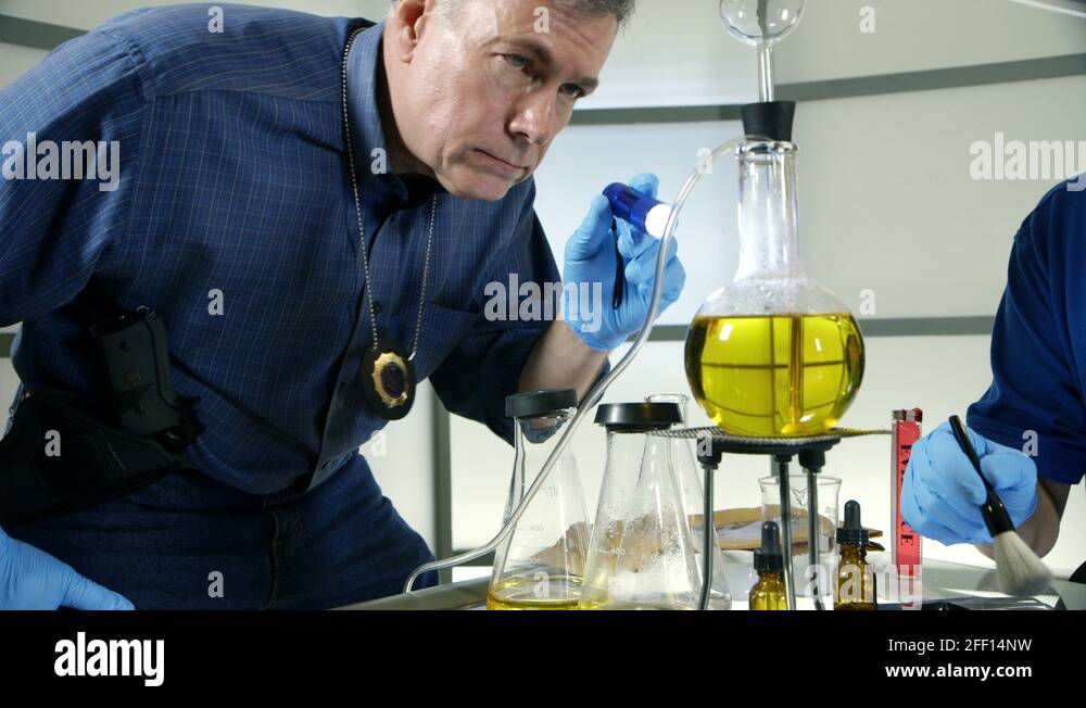 Looking for clues Stock Videos & Footage - HD and 4K Video Clips - Alamy