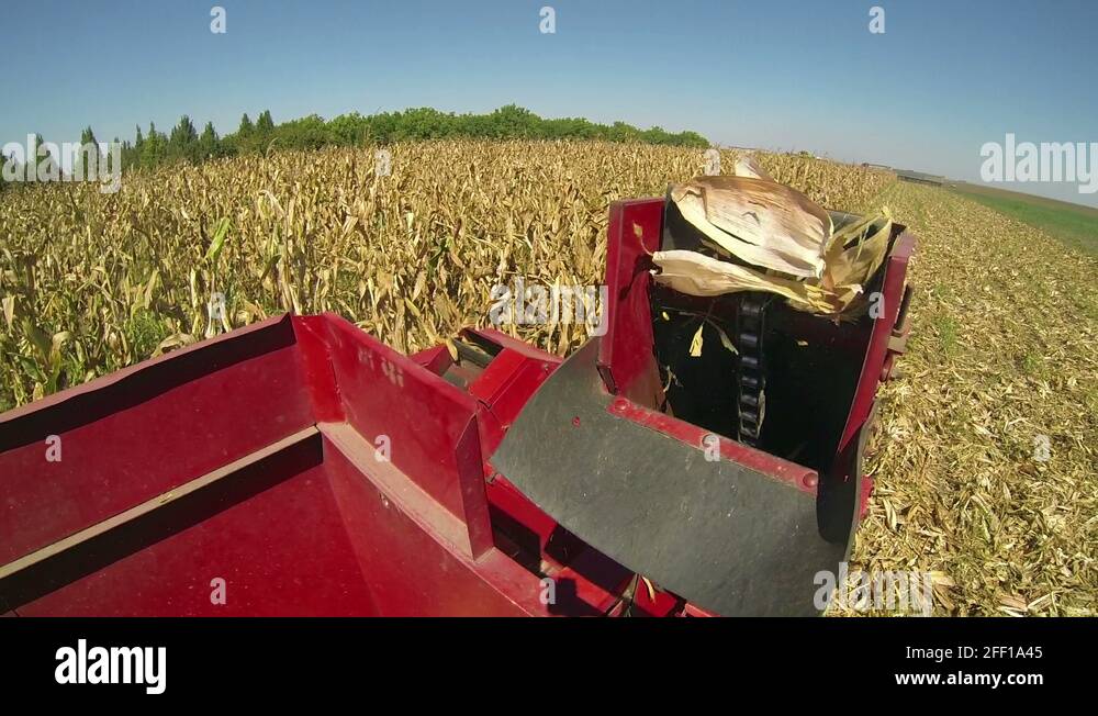 Cob harvester Stock Videos & Footage - HD and 4K Video Clips - Alamy