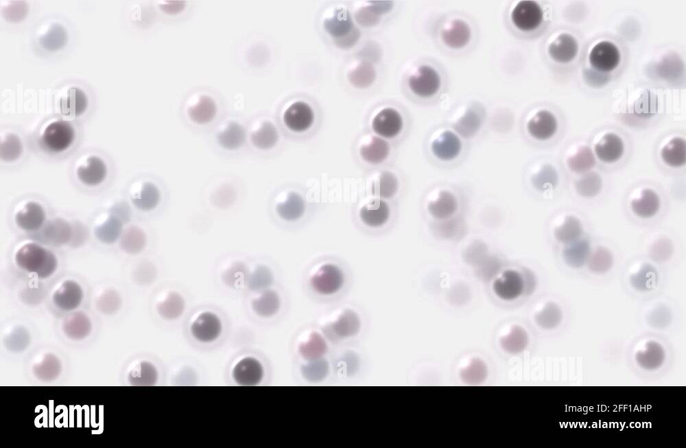 Bacteria cell under light microscope Stock Videos & Footage - HD and 4K ...