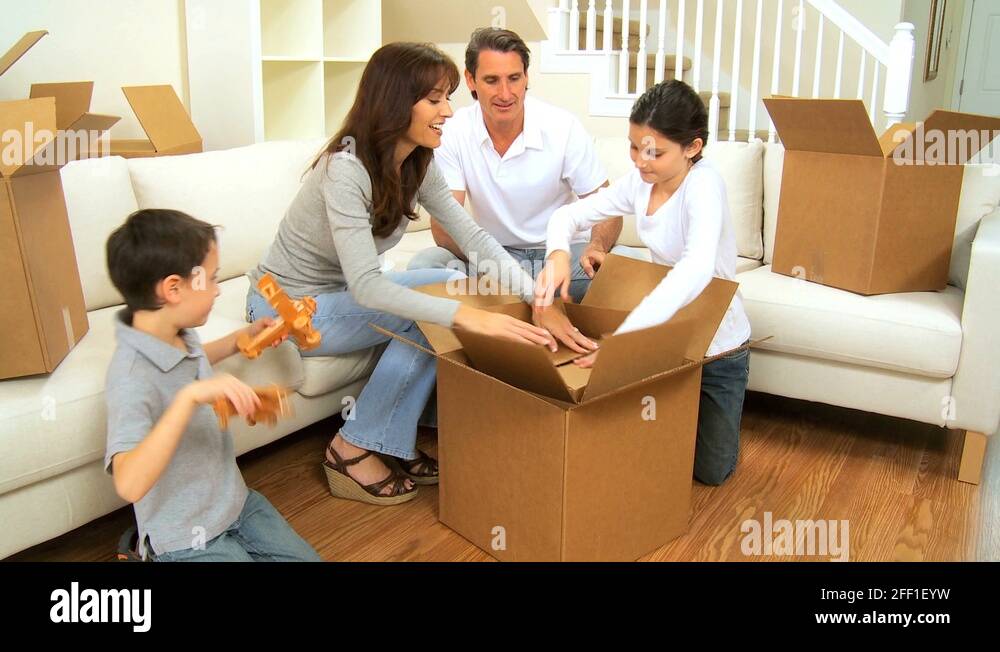 Packing cartons Stock Videos & Footage - HD and 4K Video Clips - Alamy