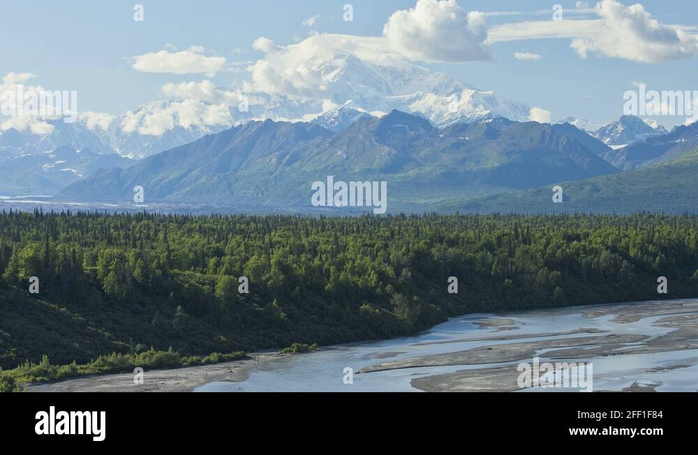 Alaska state tree Stock Videos & Footage - HD and 4K Video Clips - Alamy
