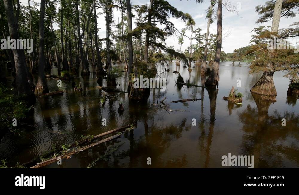 Tilt up shot Stock Videos & Footage - HD and 4K Video Clips - Alamy