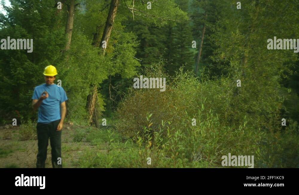 Geologist mining Stock Videos & Footage - HD and 4K Video Clips - Alamy