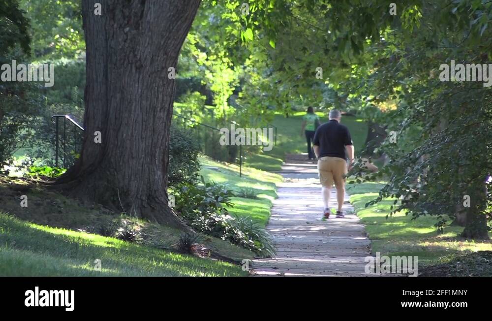 Fat man walking dog Stock Videos & Footage - HD and 4K Video Clips - Alamy