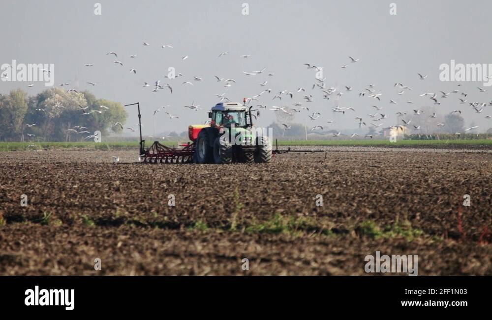 Work in a farm Stock Videos & Footage - HD and 4K Video Clips - Alamy