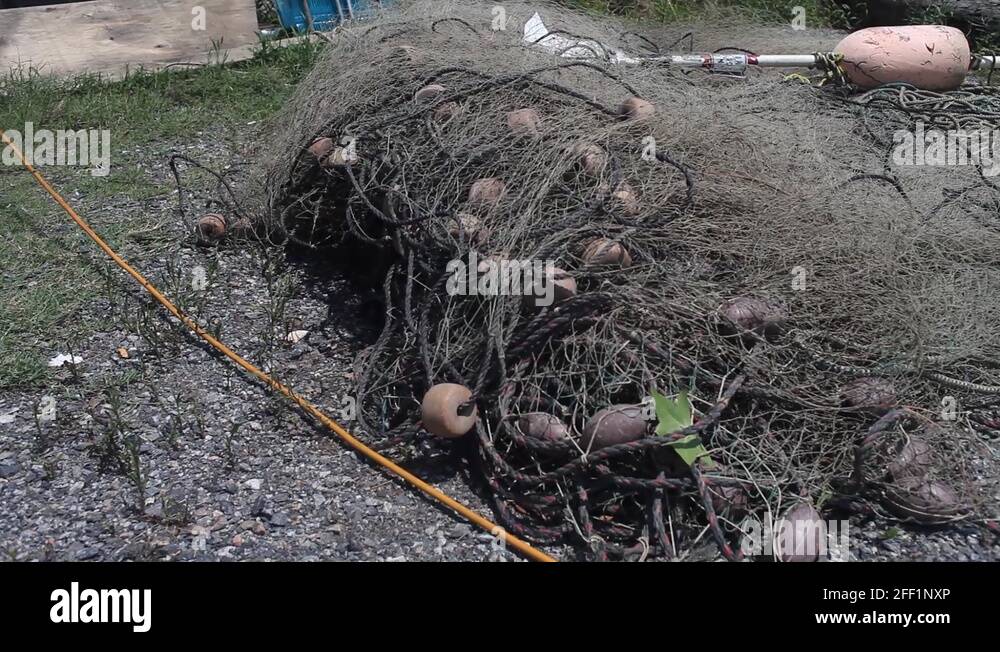 Tangled Stock Videos & Footage - HD and 4K Video Clips - Alamy