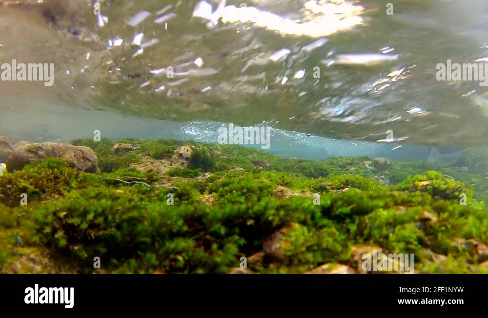 Strong currents of the river underwater. Underwater river current Stock ...