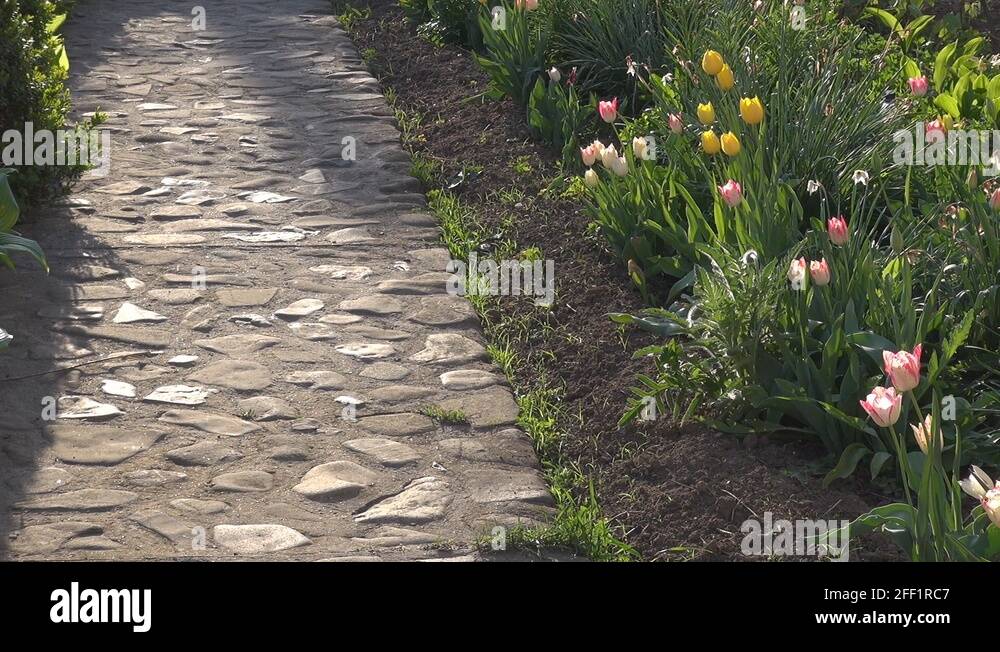 Beautiful pavement Stock Videos & Footage - HD and 4K Video Clips - Alamy