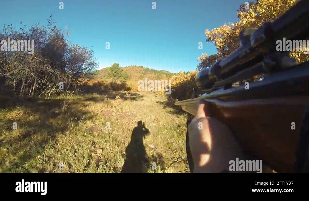 Hunter shadow Stock Videos & Footage - HD and 4K Video Clips - Alamy