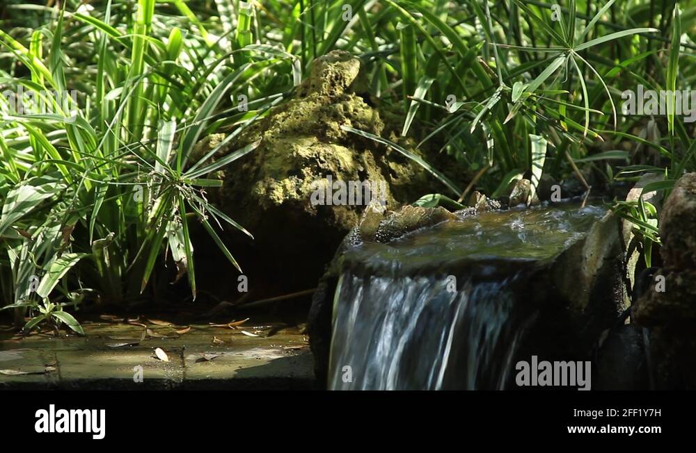 Relaxing water feature Stock Videos & Footage - HD and 4K Video Clips ...