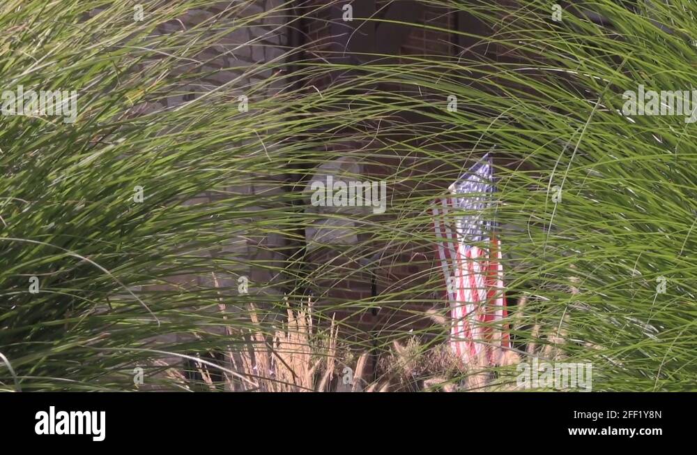 American flag landscape Stock Videos & Footage - HD and 4K Video Clips ...