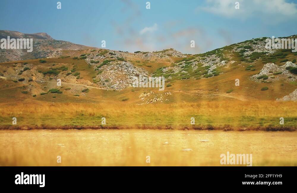 Plateau yellow scenery Stock Videos & Footage - HD and 4K Video Clips ...