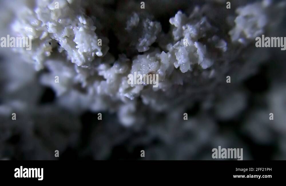 Glowing sea Stock Videos & Footage - HD and 4K Video Clips - Alamy