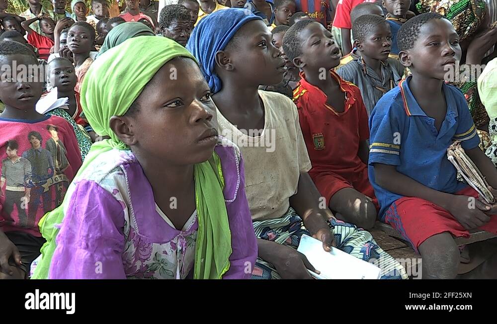 School under tree Stock Videos & Footage - HD and 4K Video Clips - Alamy