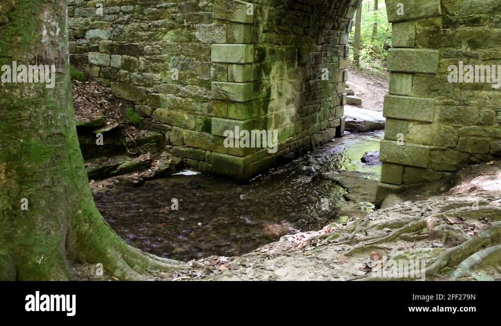 tree roots historic stone bridge arch 1820 Stock Video Footage - Alamy