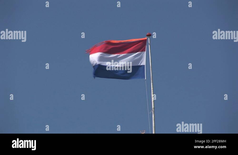 Dutch flag Stock Videos & Footage - HD and 4K Video Clips - Alamy