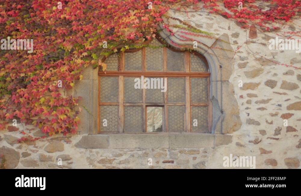 Medieval gothic window Stock Videos & Footage - HD and 4K Video Clips ...