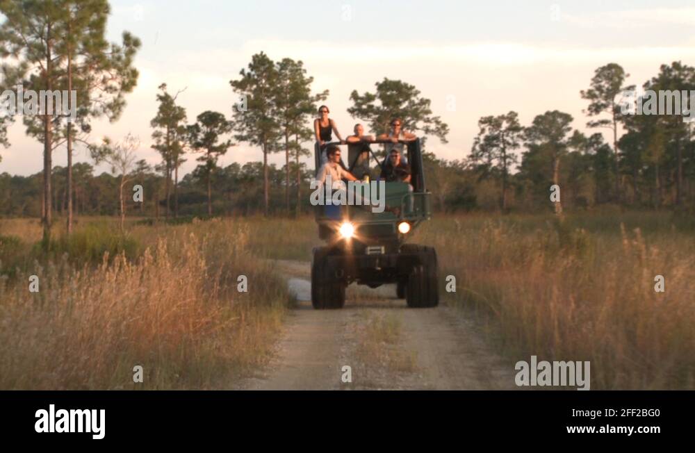 Swamp buggy florida everglades Stock Videos & Footage - HD and 4K Video ...