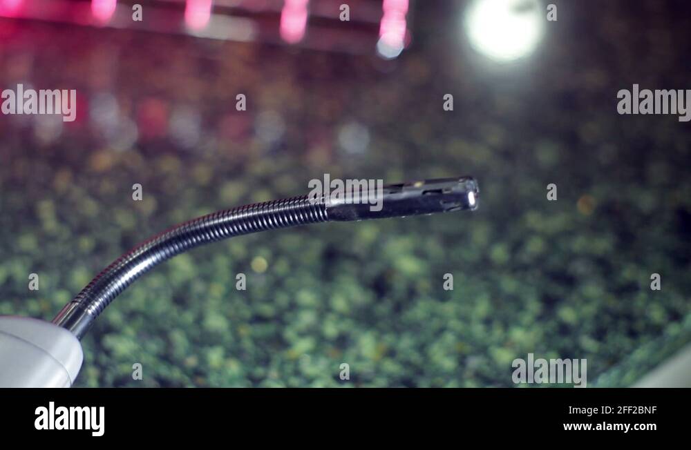 Bendy Stock Videos & Footage - HD and 4K Video Clips - Alamy