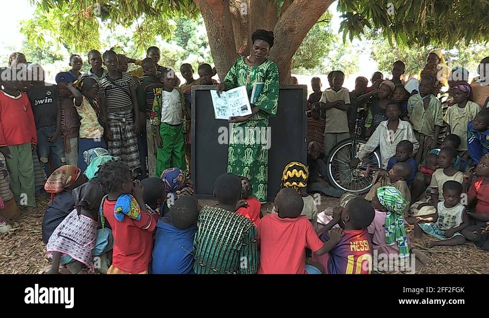 Classes tree Stock Videos & Footage - HD and 4K Video Clips - Alamy