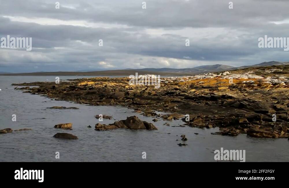 Coastal scenery falkland islands Stock Videos & Footage - HD and 4K ...