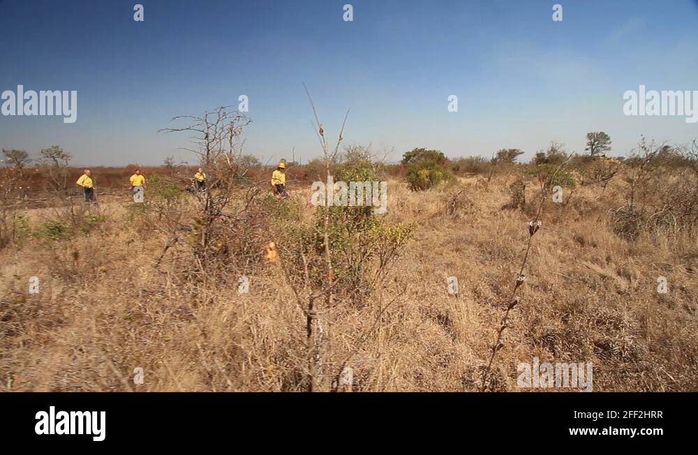 Drip torch Stock Videos & Footage - HD and 4K Video Clips - Alamy
