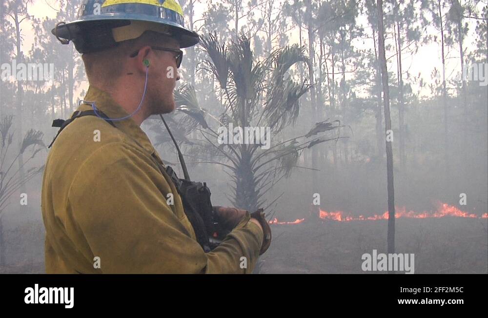 Florida firefighter forest Stock Videos & Footage - HD and 4K Video ...