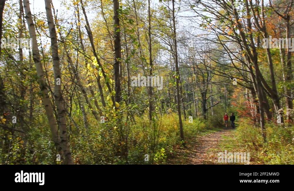 Fall foliage walk Stock Videos & Footage - HD and 4K Video Clips - Alamy