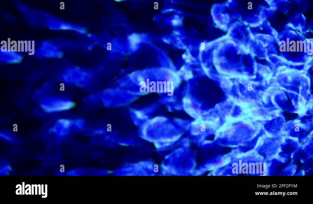 Water distortion Stock Videos & Footage - HD and 4K Video Clips - Alamy