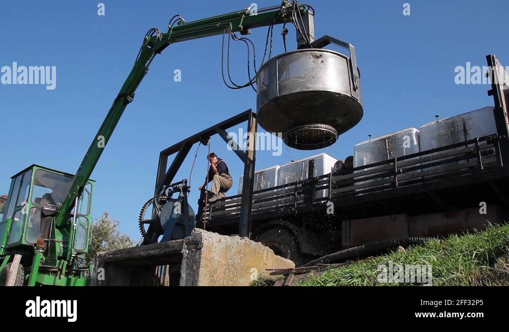Fish farming Stock Videos & Footage - HD and 4K Video Clips - Alamy