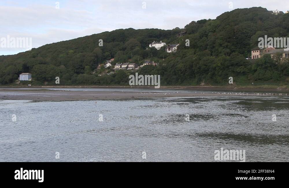 Cornish rivers Stock Videos & Footage - HD and 4K Video Clips - Alamy