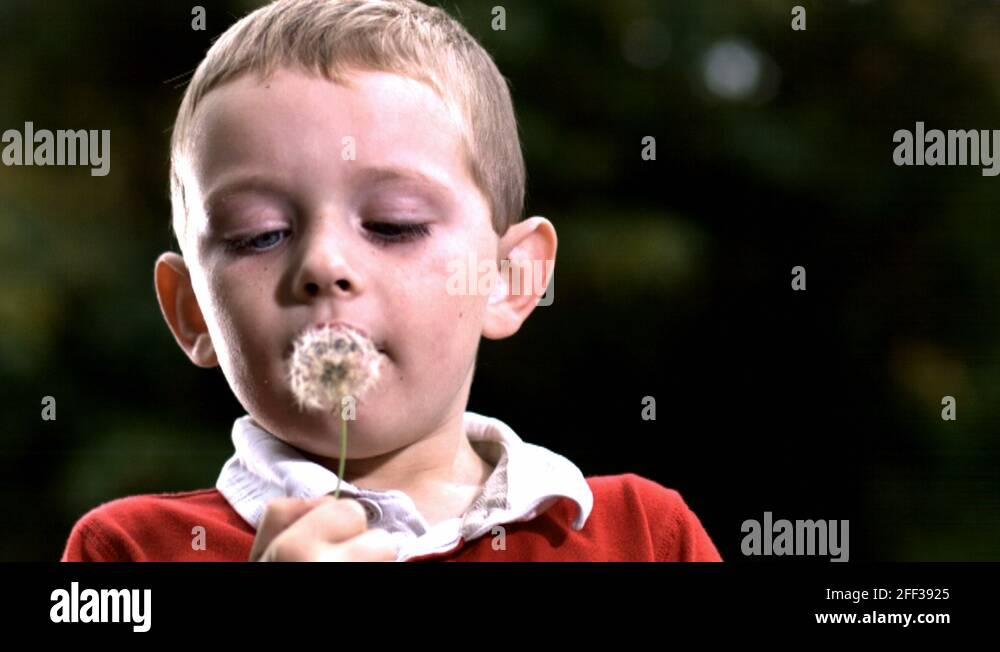Young boy blowing seeds Stock Videos & Footage - HD and 4K Video Clips ...