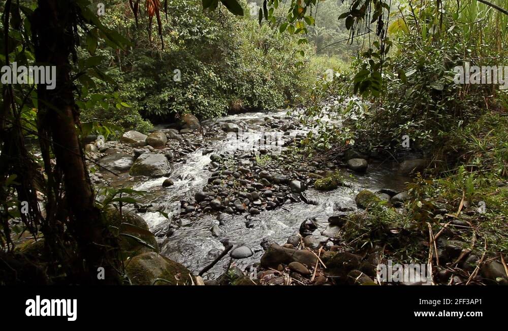 Rio Mindo running through montane rainforest in western Ecuador Stock ...
