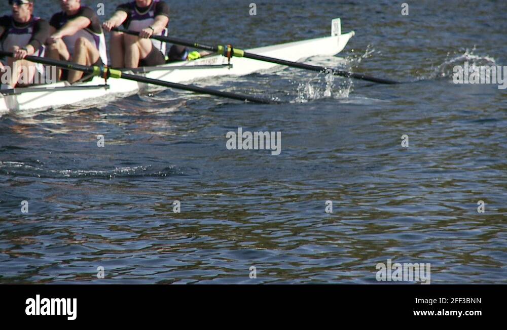 Row rowing oars Stock Videos & Footage - HD and 4K Video Clips - Alamy