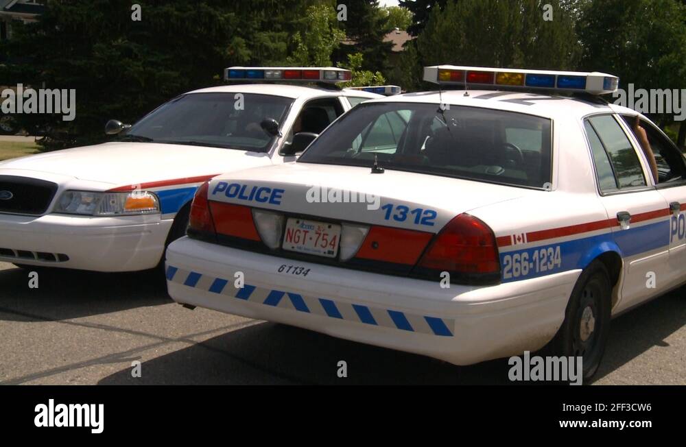 Crime police court Stock Videos & Footage - HD and 4K Video Clips - Alamy