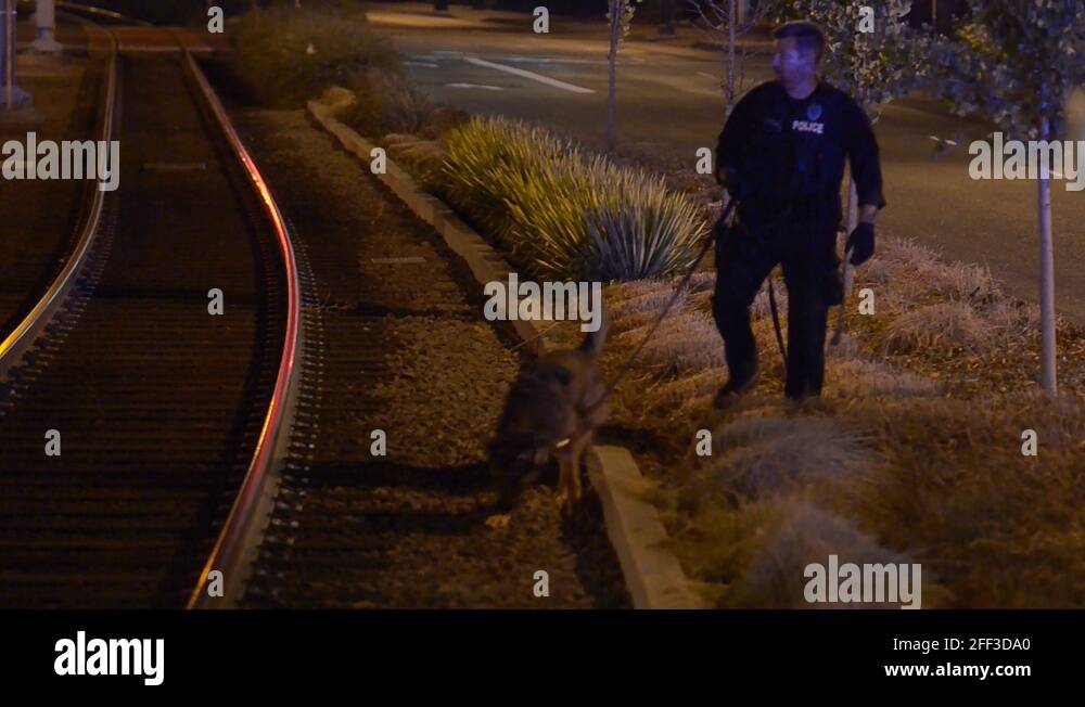 Drugs unit Stock Videos & Footage - HD and 4K Video Clips - Alamy