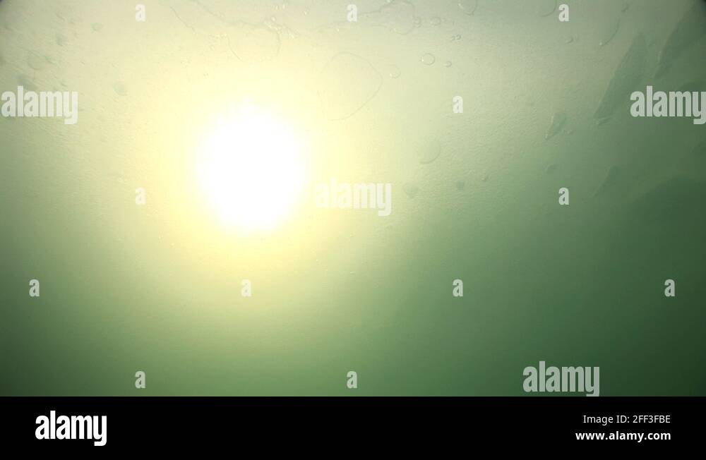 Underwater iceberg ice Stock Videos & Footage - HD and 4K Video Clips ...