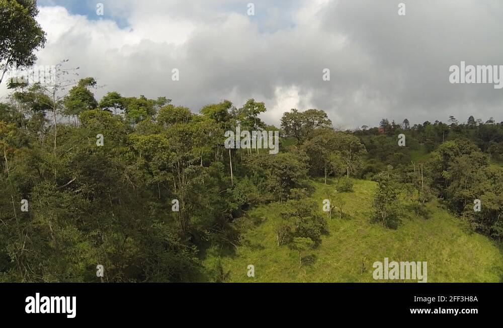 Montane climate Stock Videos & Footage - HD and 4K Video Clips - Alamy